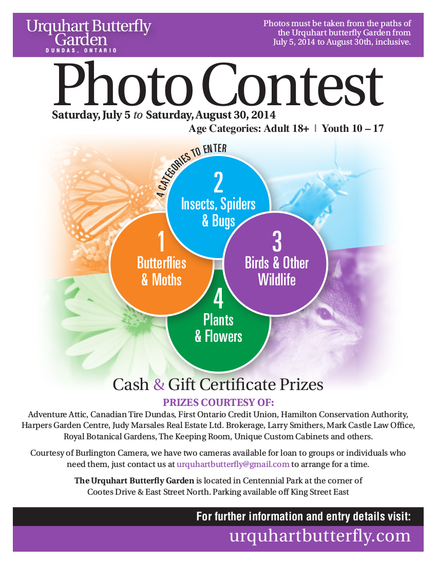 Announcing the UBG Photo Competition! | Urquhart Butterfly Garden