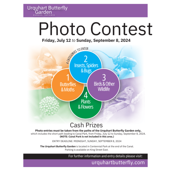 Summer Photo Contest 2024 | Urquhart Butterfly Garden